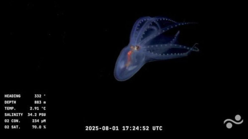 Hoy es el último programa del streaming del Conicet: dónde ver