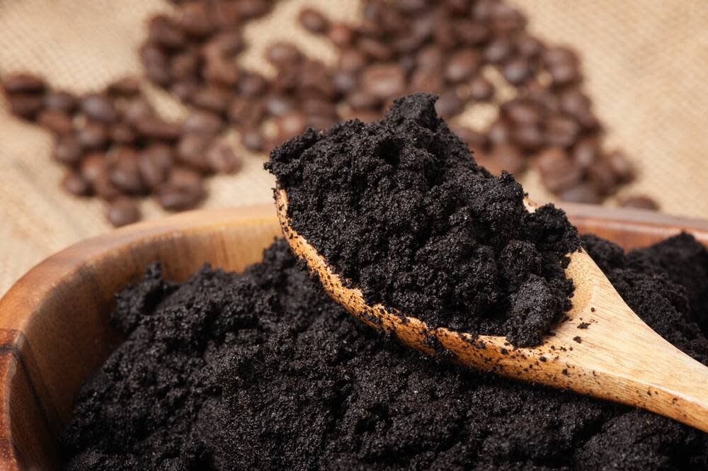 Dales una segunda oportunidad: cómo reciclar los restos de café que ...