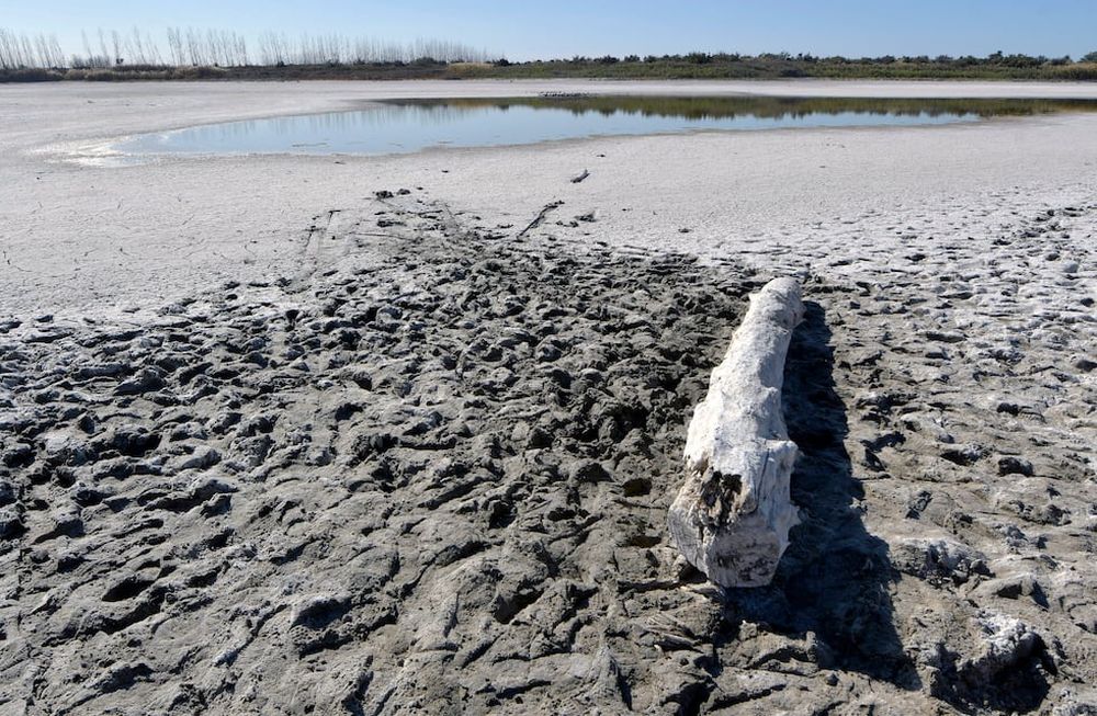 Sequía: mejoran las condiciones y Mendoza ahora se encuentra en la ...