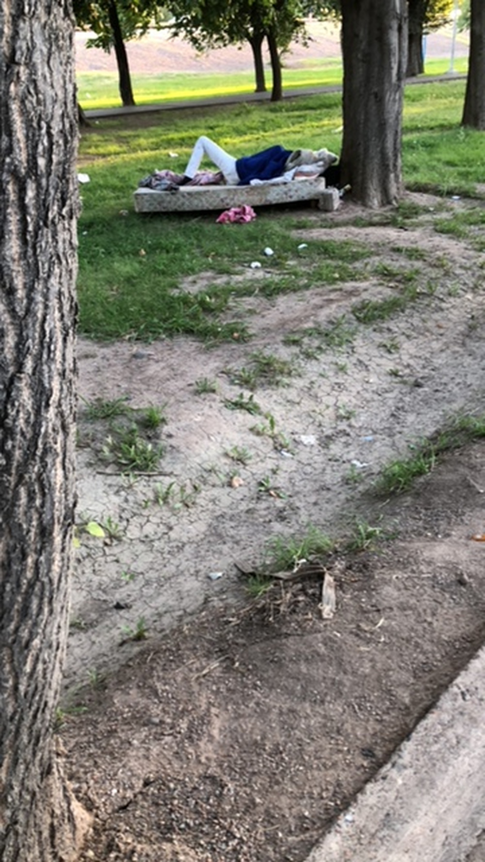 Mercier y Camier en el Acceso Este