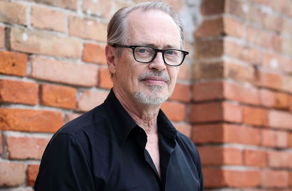 Golpearon a Steve Buscemi en la cara mientras caminaba por las calles ...