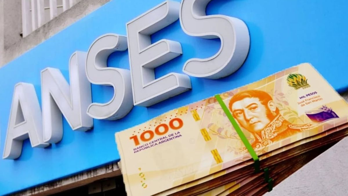 SUAF de Anses: cómo saber si me corresponde el bono extra de $81.900 en ...