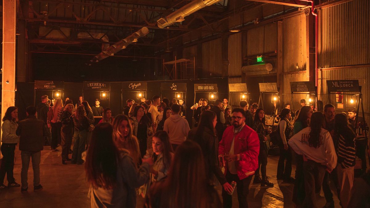 Vino, feria y música: la experiencia que encendió Mendoza el sábado en ...