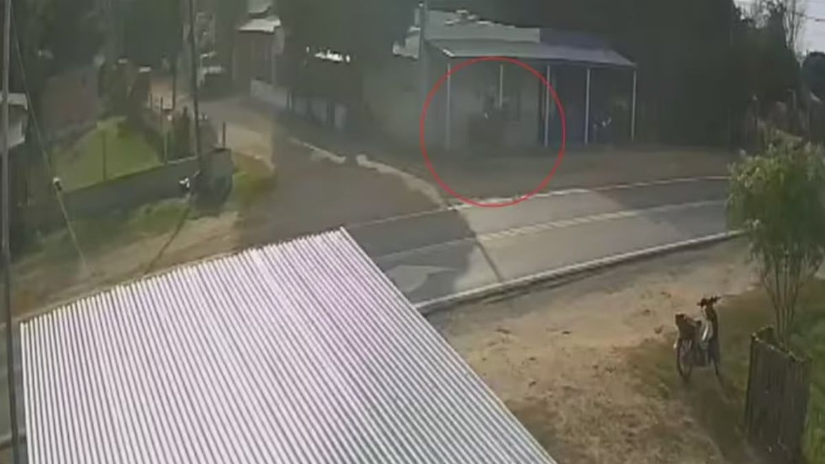 El último video de Loan Danilo Peña antes de su desaparición en ...