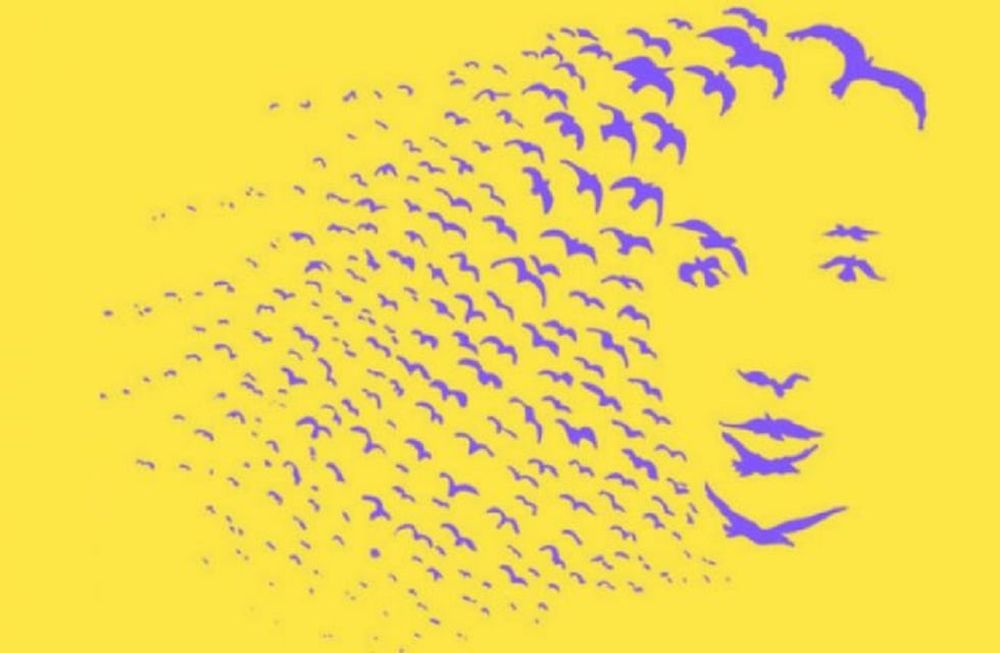 ¿Qué ves primero? El reto visual que revela si sos una persona realista