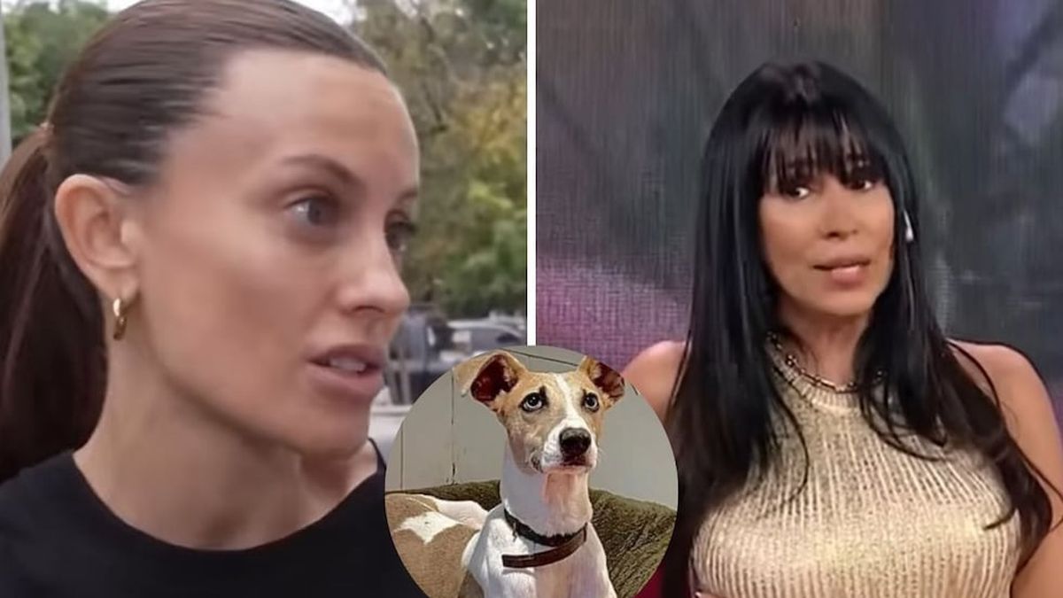 Los famosos que se unieron a la causa y piden que Gran Hermano devuelva a Arturo, el perro