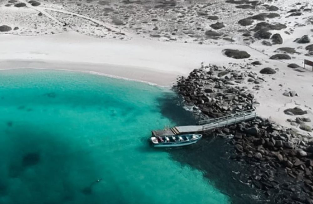 Isla Damas, un paraíso chileno a 110 kilómetros de La Serena y que ...
