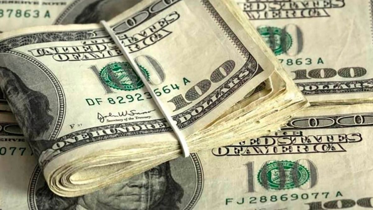 Los argentinos siguen comprando dólares: ya tienen U$S 243 mil millones ...