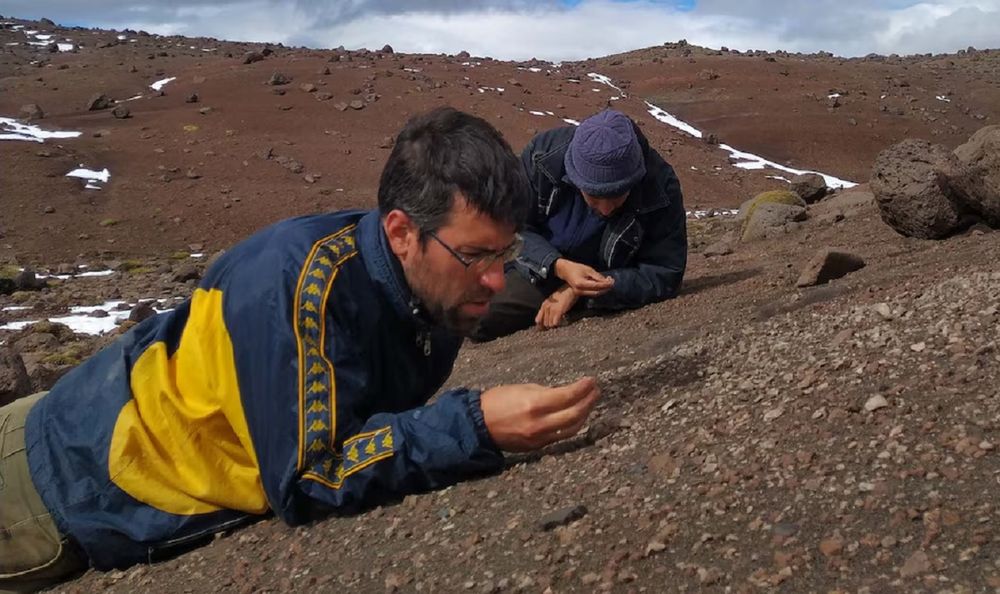 El gran ñandú de Santa Cruz: descubrieron un dinosaurio raptor que ...