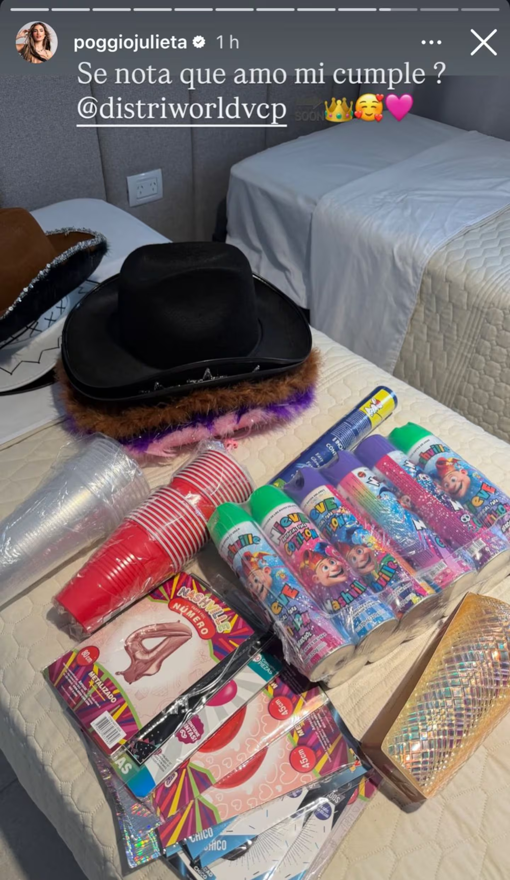 Julieta Poggio detalló cómo será su exclusiva fiesta de cumpleaños ...