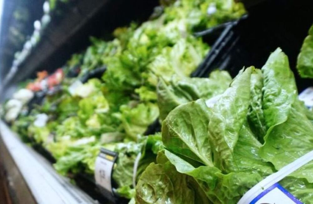 El truco definitivo: ¿dónde guardar la lechuga para que no se ponga fea?