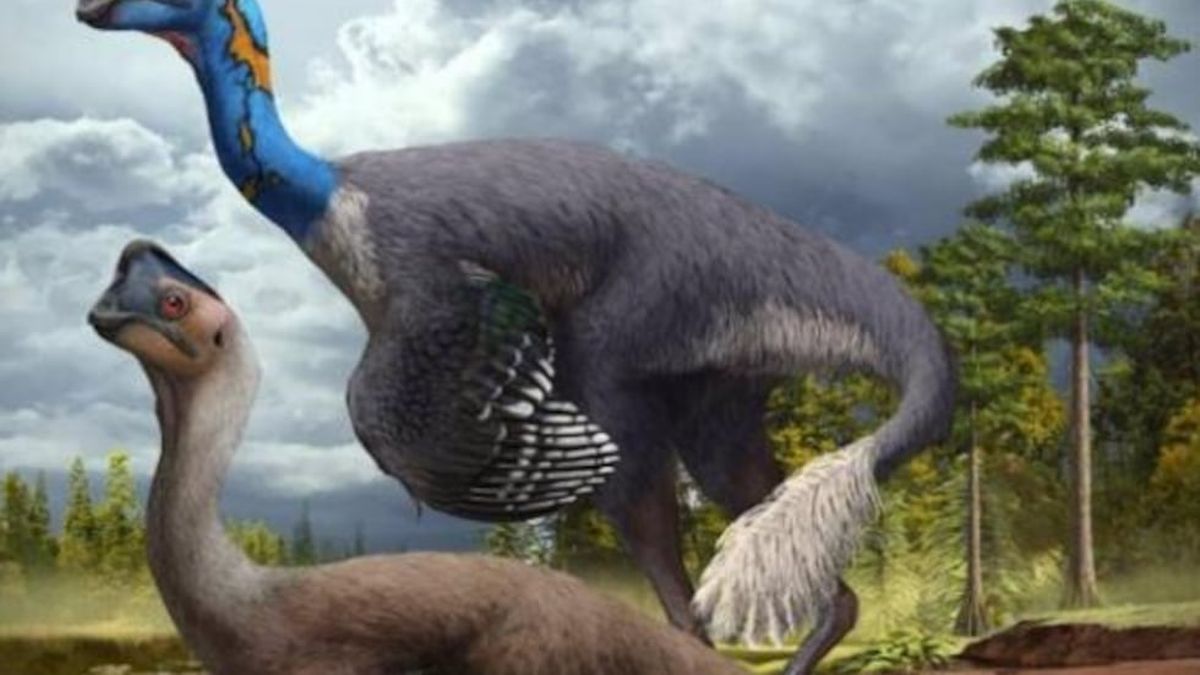Descubren el primer dinosaurio del mundo que estaba incubando y ...