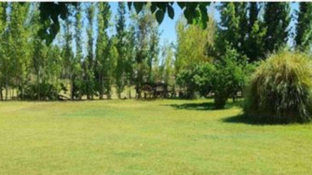 La primavera en Los Corralitos