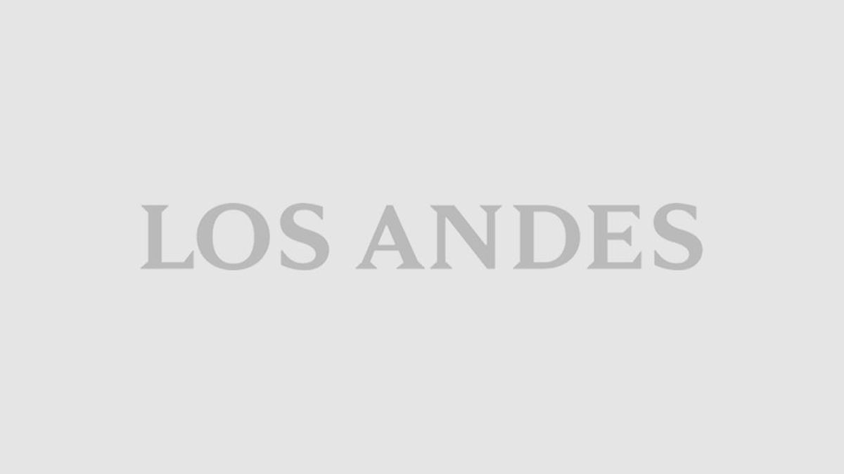 Ganá una beca para el taller de deco tips
